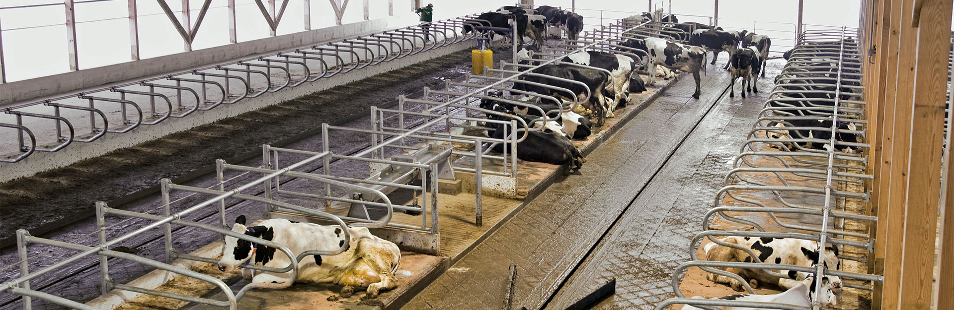 Levels of Fly Control | Starbar Products | Sprays